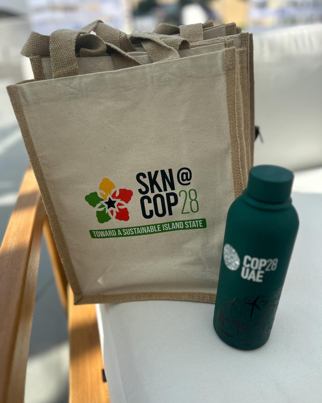 Global Afro-Descendant Climate Justice Collaborative - The Chisholm ...