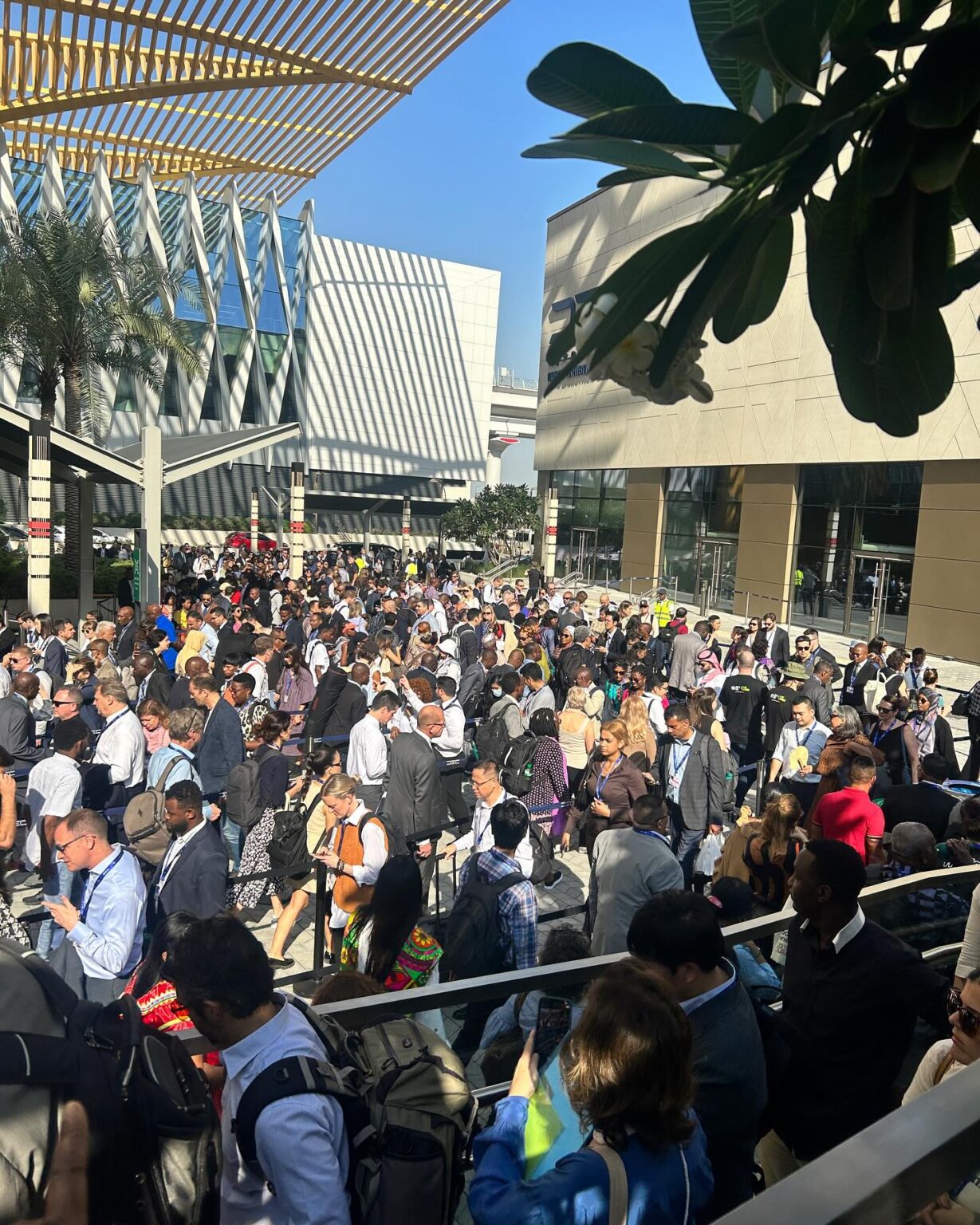 Global Afro-Descendant Climate Justice Collaborative - The Chisholm ...