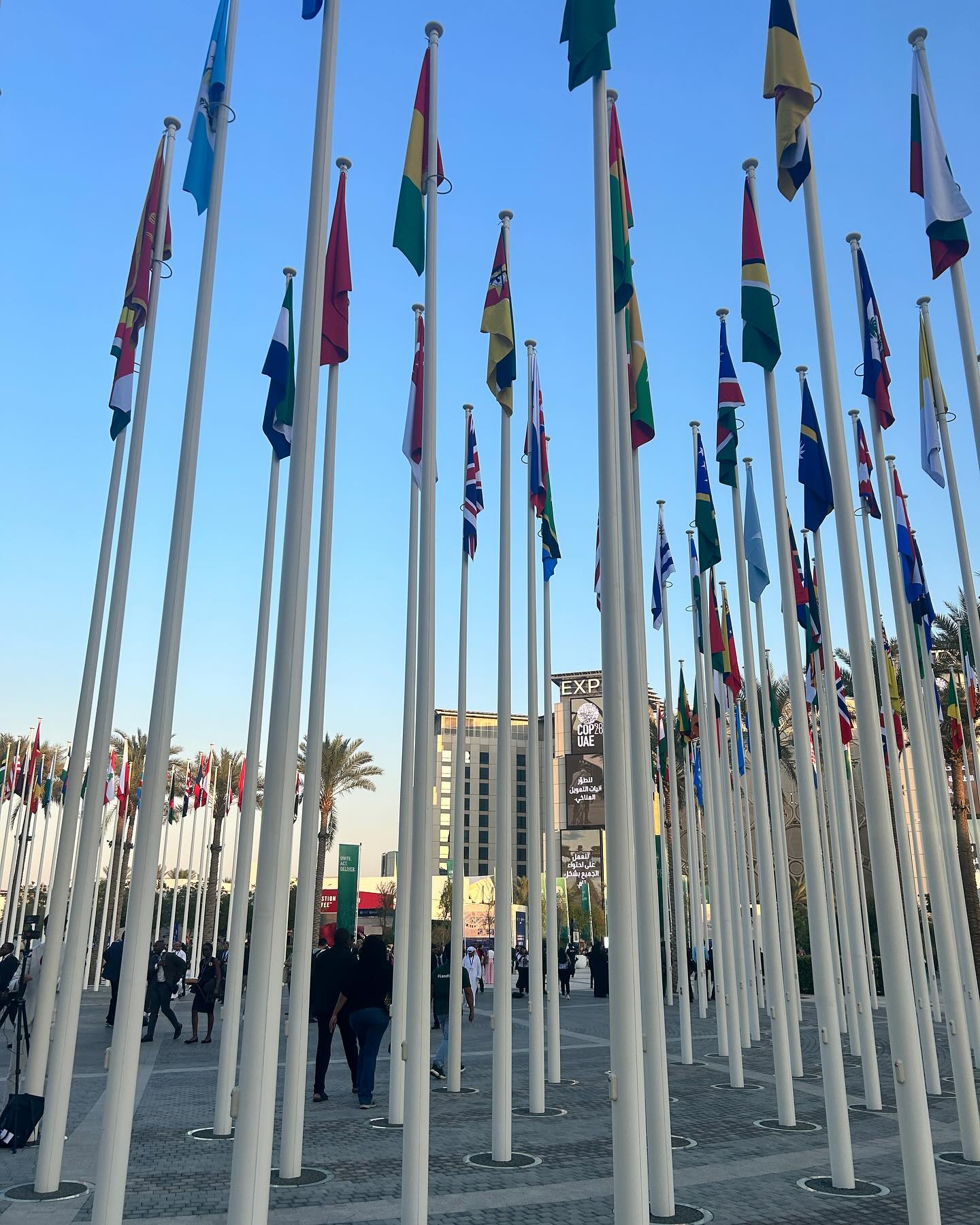 Global Afro-Descendant Climate Justice Collaborative - The Chisholm ...